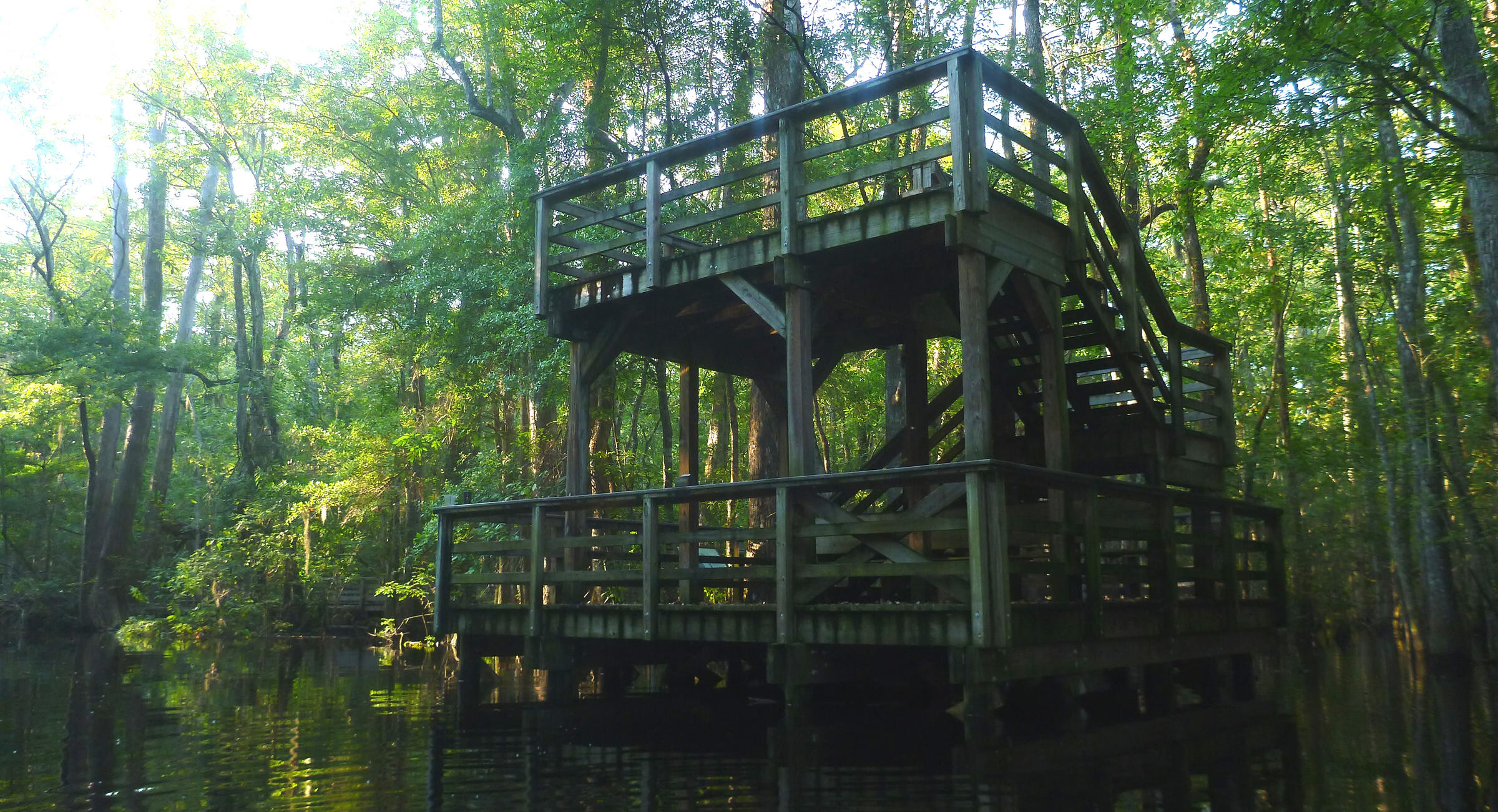 Audubon Center & Sanctuary at Francis Beidler Forest